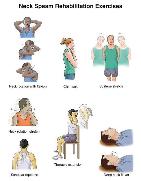 The finest neck exercises to rapidly strengthen your neck. | by Naheed ...