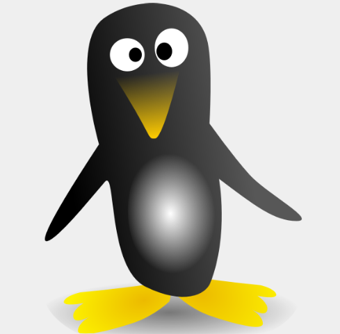 How to view an image from a Kaggle dataset in two lines of code | by ...