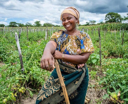 The unsung heroes: Rural women.. Rural women! Are the unsung heroes of ...