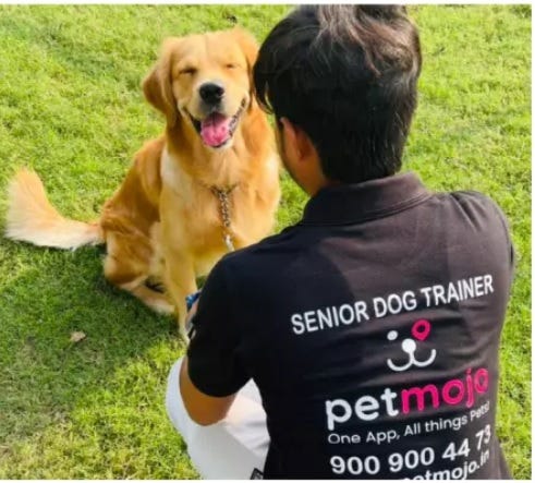 petmojo. PetMojo: Elevate Your Pet Care… | by petmojocare | Jul, 2024 ...
