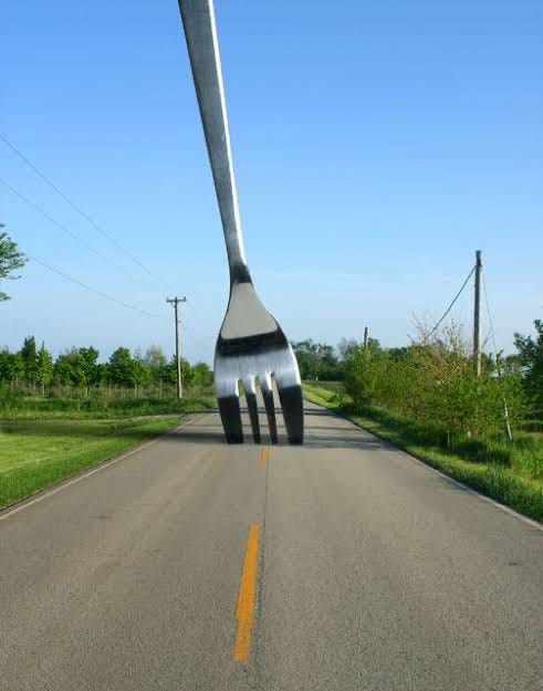 A Fork In The Road. we live multiple lives in a single… | by ...