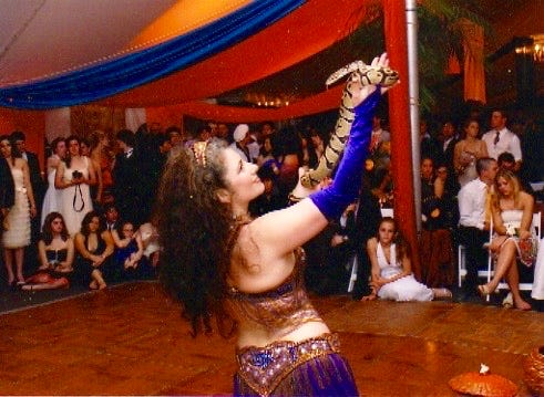 Don’t Tell Me Your Dog Won’t Hurt Me | by Karen Traub | The Jeweled Box | Medium