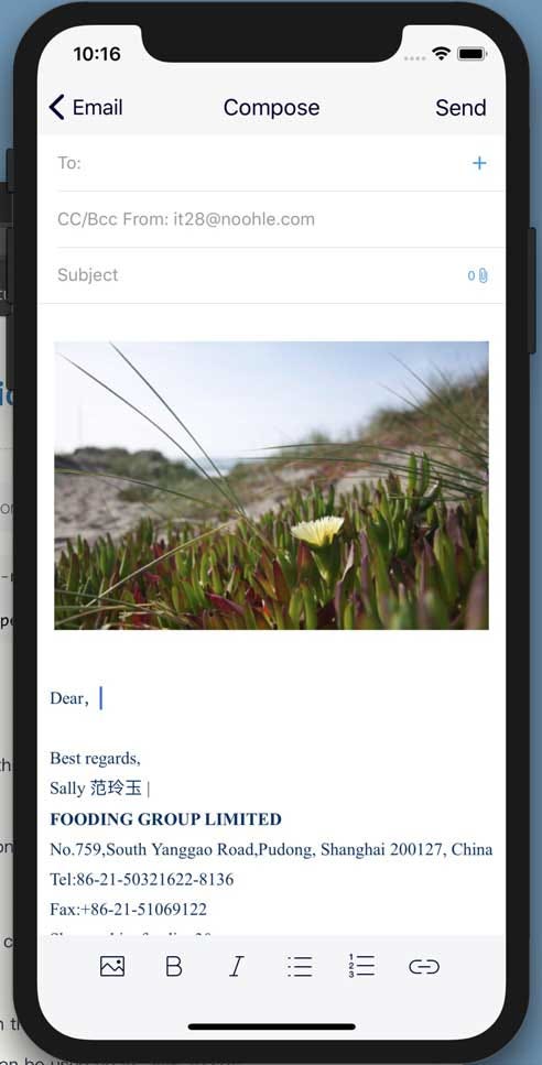 Placeholders in react-native-pell-rich-editor | by ajit singh | Medium