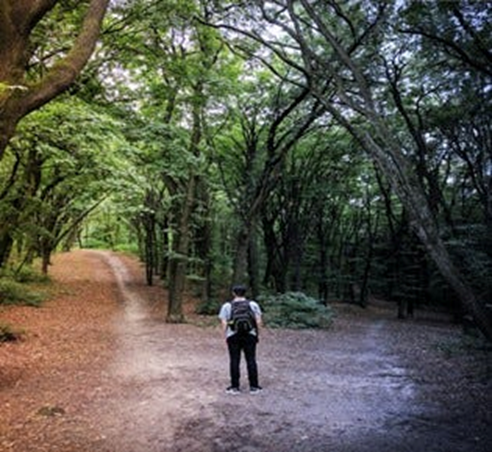 Helping Students Navigate Career Uncertainty: Three Techniques Beyond ...