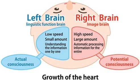 What is Right Brain Training for Children? Attend Heguru Education ...