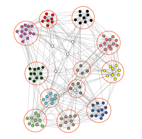 Semi-Supervised Label Propagation Community Detection on Graphs with ...