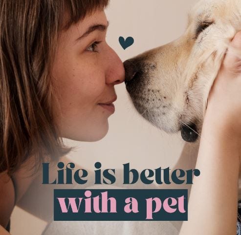 Indian Dog Breeds | Pets Devotee. India is a diverse country with a… | by pets devotee | Medium