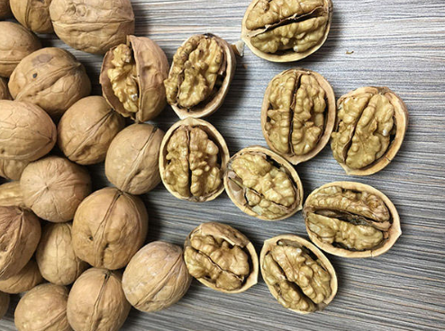 Walnuts: A Worthy Addition to Your Daily Diet? | by Hbsugo | Medium