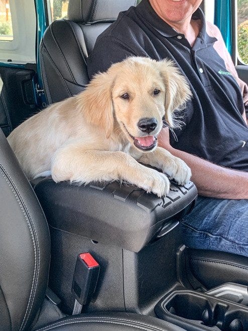 Boomerang — Tire Tread ArmPad for Jeep Wrangler JL (2018–2021 ...