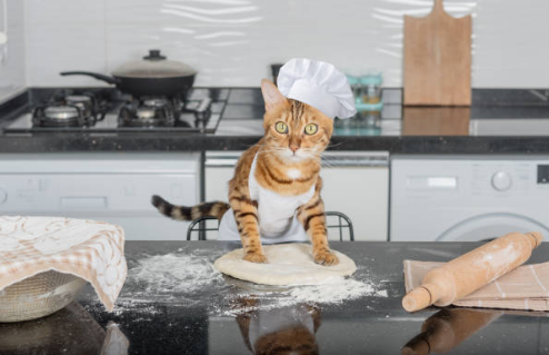 The feline pastry perspective. Does your cat also moonlight as a… | by ...