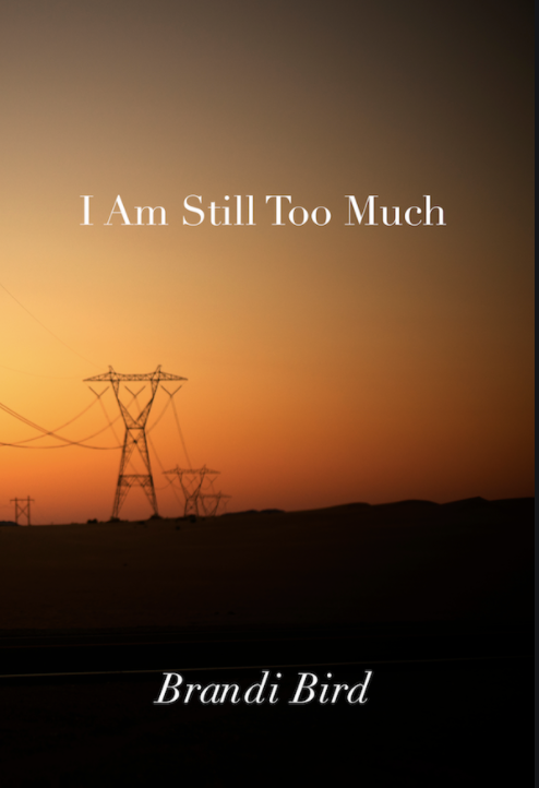 When I was buying I Am Still Too Much by Brandi Bird, the title ...
