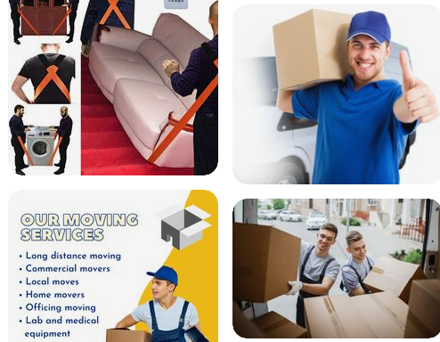 What are the first need every customer! | by King Cargo Shifting Solution | Medium