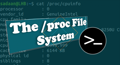 Exploring the /proc Filesystem: A Peek into Linux Process Information | by Rayenhedri | Medium