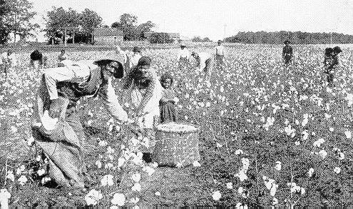 Southern Colonies Slavery Plantations