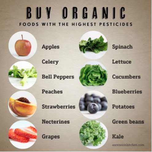 Does “Organic” Really Mean Chemical-Free? | by Kirstyn Steele | Medium