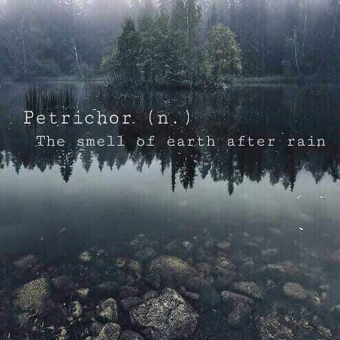 Petrichor : Earth is responding.. The cloud it turns black, and rain ...
