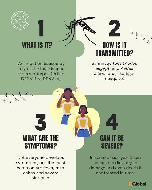 Understanding Dengue: Causes, Symptoms, Prevention, and Treatment | by Maryam Latif | Nov, 2024 ...