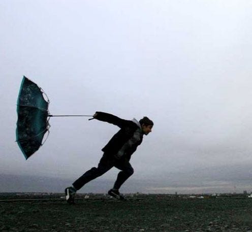 Wind Song. The wind does not whisper. It is not so… | by Christopher E. Grillo | the Cafe