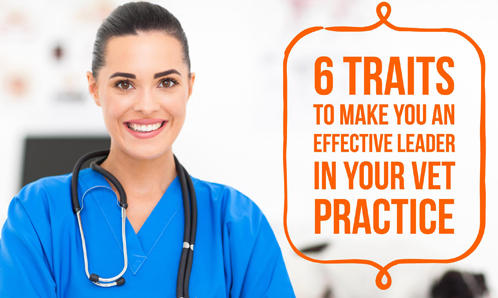 6 Traits That Make You an Effective Leader in Your Vet Practice | by ...