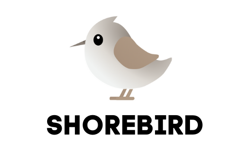 Flutter Shorebird: A Powerful Tool for Flutter Developers | by Selin ...