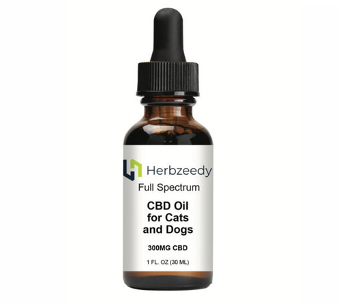 Everything You Need To Know About Hemp Oil For Dying Cats? | by ...