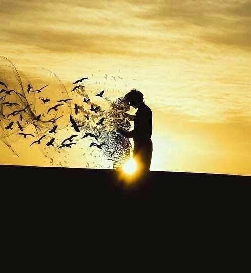 TRUST AND PERFECT LOVE. A flow of love through the veins, has… | by ...