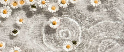 White isn’t just a color. a poem by a mind that never sleeps | by ...