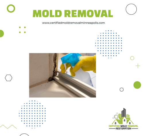 What Are the Benefits of Mold Repair for Your Home? - Certified Mold ...