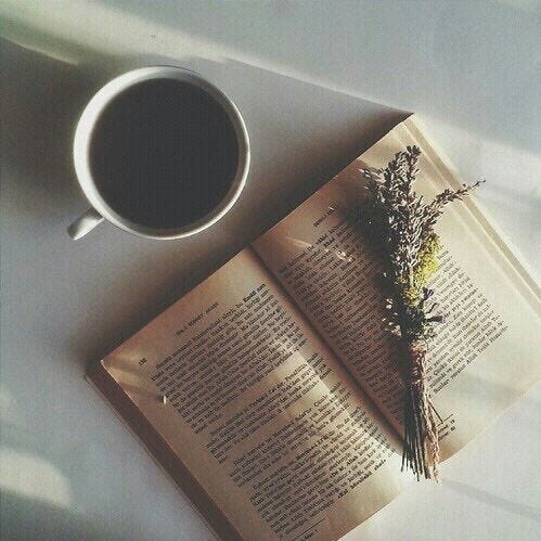 Sobre Escrever, Desenhar, e Tomar Café… | by Kaolin Vesterka | Medium