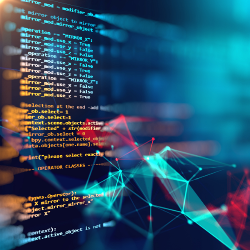 Custom Software Development - Arneta Rose - Medium