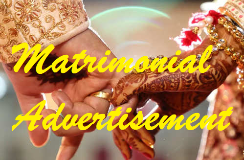 Analysing the role played by the matrimonial classified advertisement ...