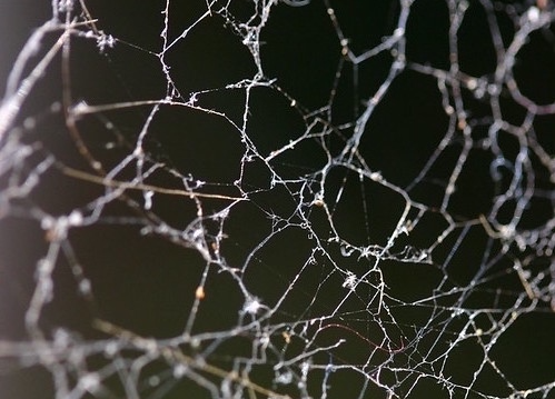 A Better Way To Find Stuff on the Web | by Thomas Elam | Medium