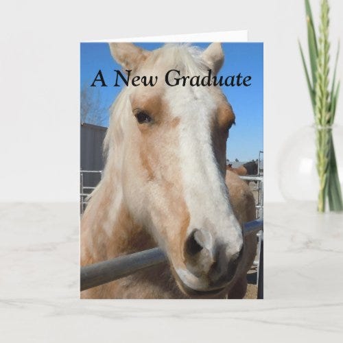 Hot Review! Funny Graduate Graduation Congratulations Horse Card for $3 ...