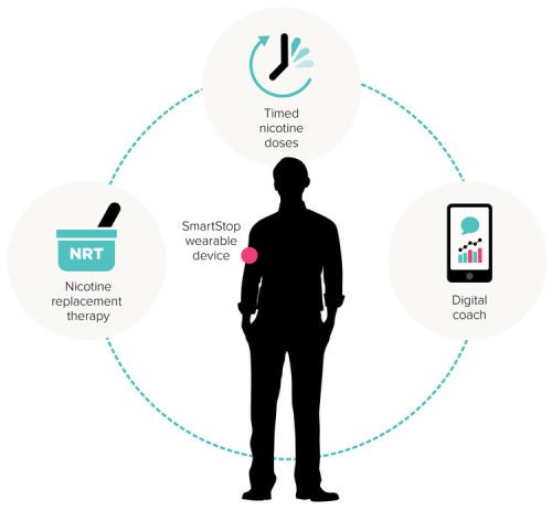 Wearing your health on your sleeve: Innovations in wellness wearables ...