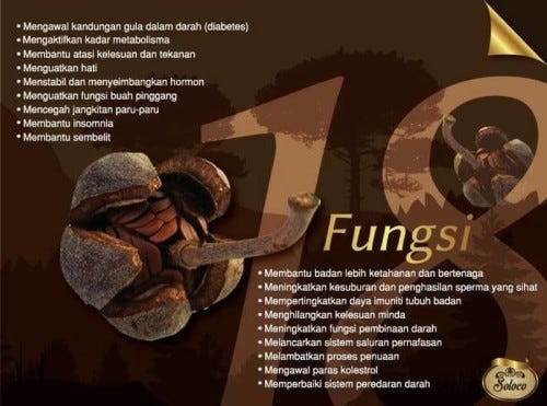 jual permen soloco asli jogja 081393904441 | by Nayla Beauty | Medium