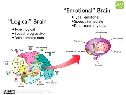 Understand the Logical Brain vs Emotional Brain while designing a ...