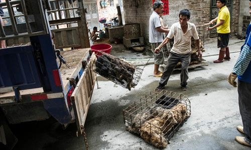 Man-eat-dog festival. Despite widespread outrage, an annual… | by Tiara ...