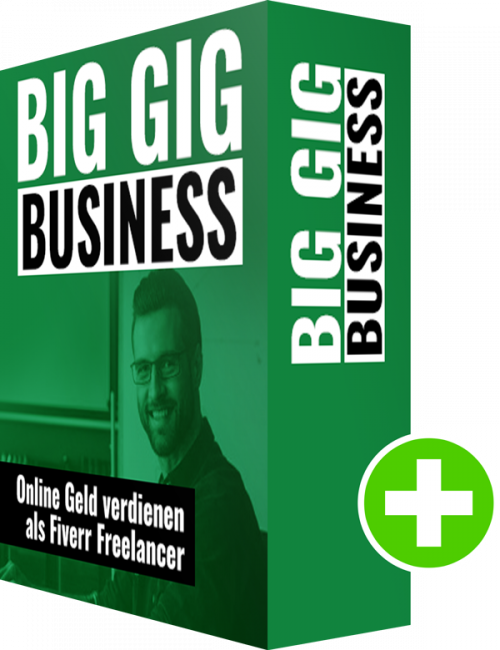 BIG GIG BUSINESS — Income as a Fiverr freelancer | by Drizwanadawood ...