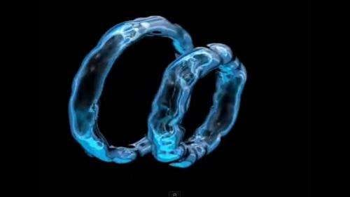 Exploring the Enigmatic Vortex Rings: An Essential Step to Harness ...