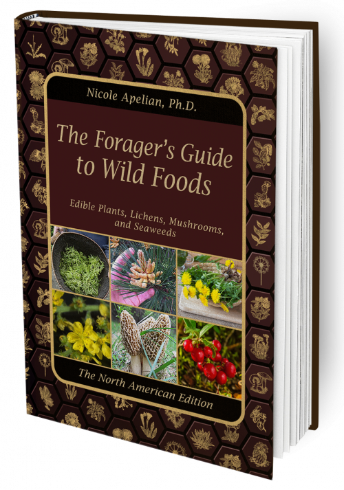 Forager’s Guide to Wild Foods — BRAND NEW! Book (printed) | by siti ...