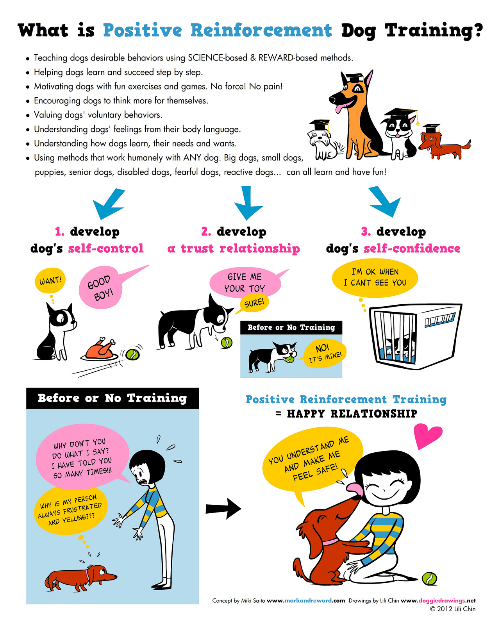 Positive Reinforcement Training. WHAT IS POSITIVE REINFORCEMENT? | by ...