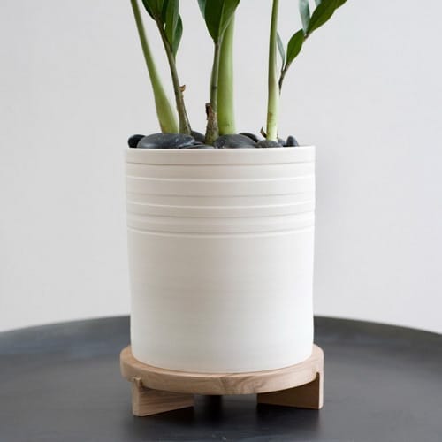 Most Popular Styles of Indoor Flower Pots | by Home Decor Help | Medium