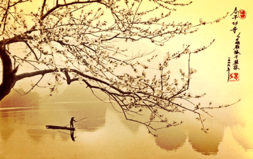 “Code & Creativity: A Haiku Journey Through Tech” | by The Tech Cat ...