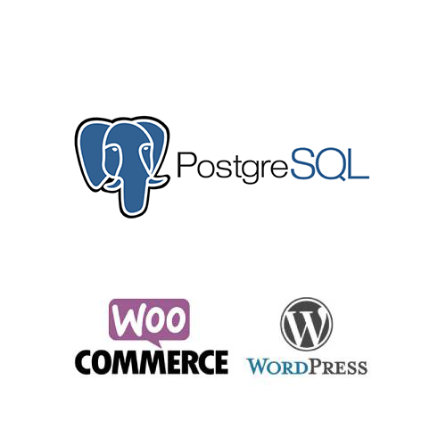 PostgreSQL Woocommerce ERP Connector | by PasarelasDePagos | Jul, 2024 | Medium
