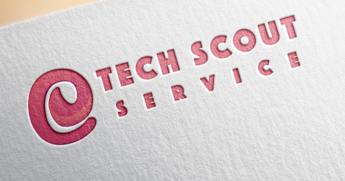 Tech Scout: How to get your Mobile Friendly tag before Google penalizes ...