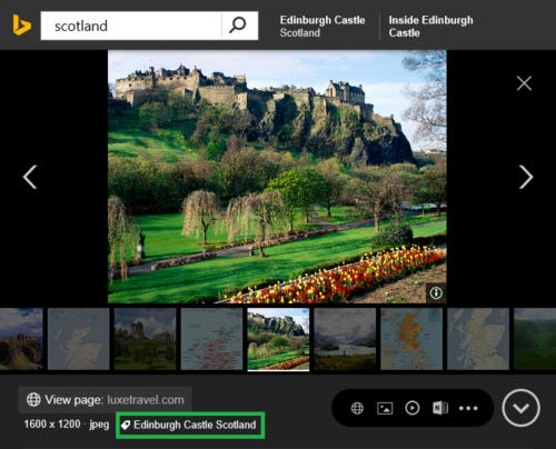 Image Graph: Microsoft Takes Bing Image Search Experience to a… | by ...