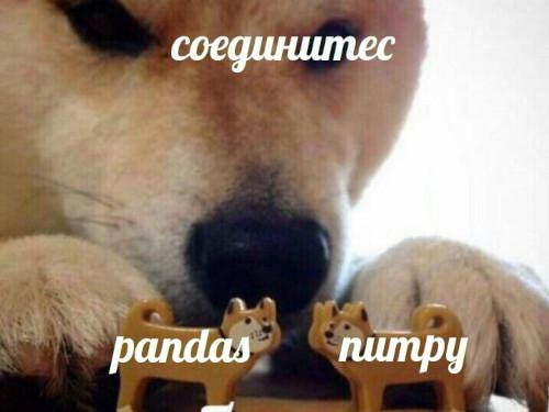 Numpy Vs Pandas в чем разница между двумя библиотеками Python By Nick Komissarenko