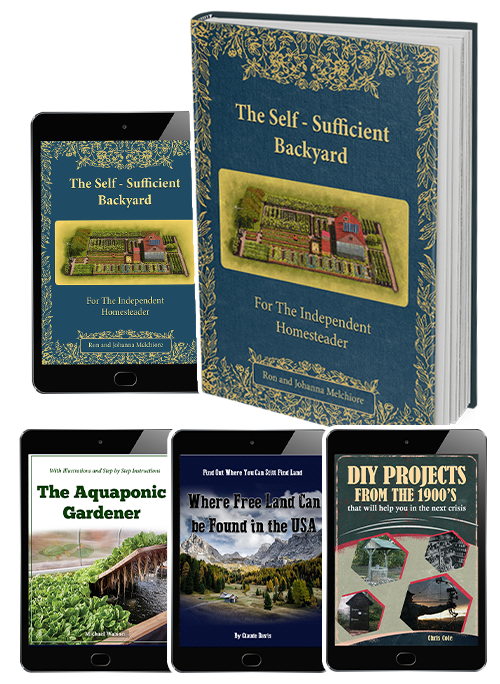The Self-Sufficient Backyard. The Self-Sufficient Backyard: Your Path ...