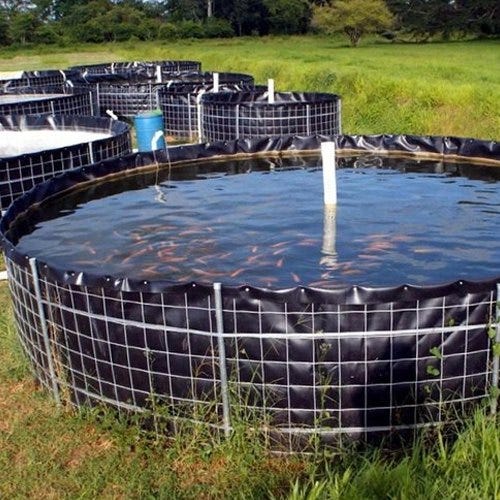 bio flock fish farming system. BIO FLOCK FISH FARMING | by Urbuddies575 ...
