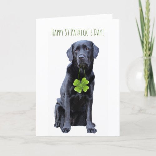 Top 5! Black Labrador Four Leaf Clover St.Patrick’s Day Holiday Card ...